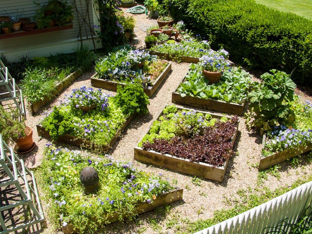 Vegetable Garden Plans | Planning a Garden