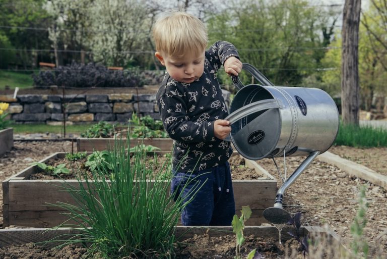 Planting with the Seasons: A Month-by-Month Guide to Vegetable Planting ...
