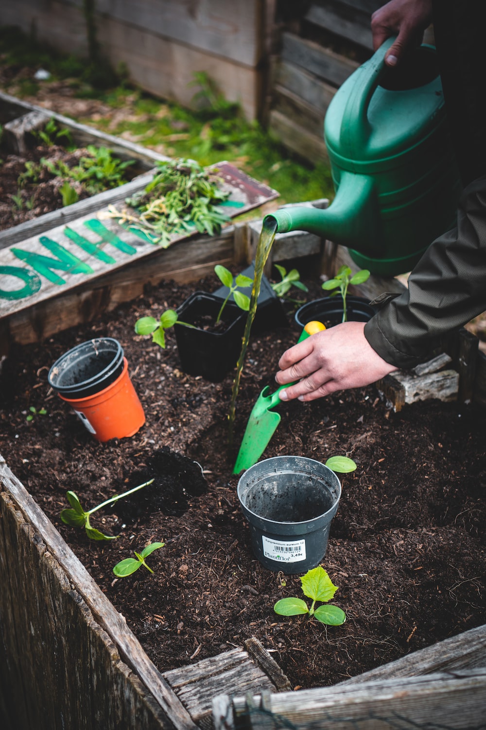 Planting with the Seasons: A Month-by-Month Guide to Vegetable Planting ...